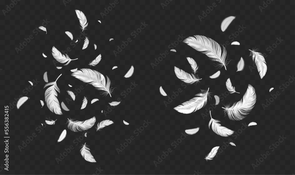Falling white soft feathers, bird plumage splash. Fluffy quills flying ...