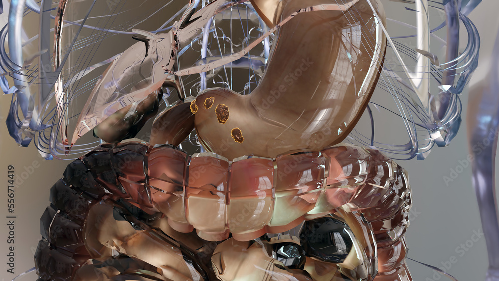 Human Stomach Anatomy Digestion, concept of the intestine, From the ...