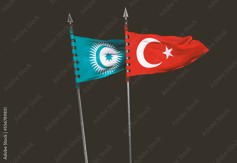 Organization of Turkish States and Flag of the Turkic Council ...