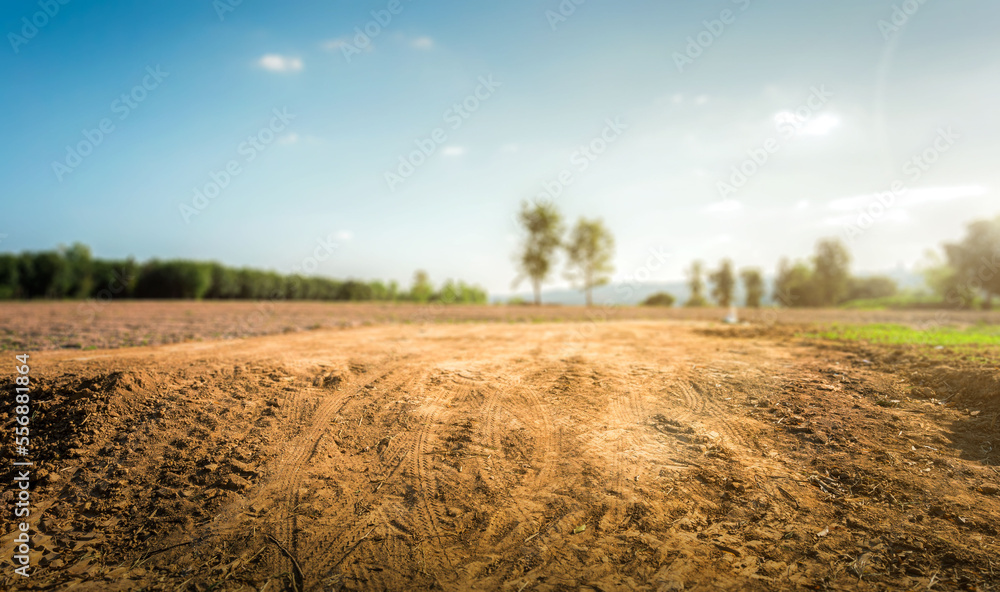Empty dry cracked swamp reclamation soil, land plot for housing ...