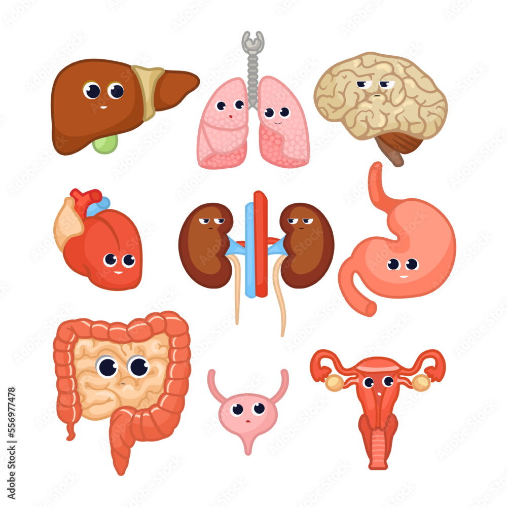 Different comic human internal organs vector illustrations set. Cartoon ...