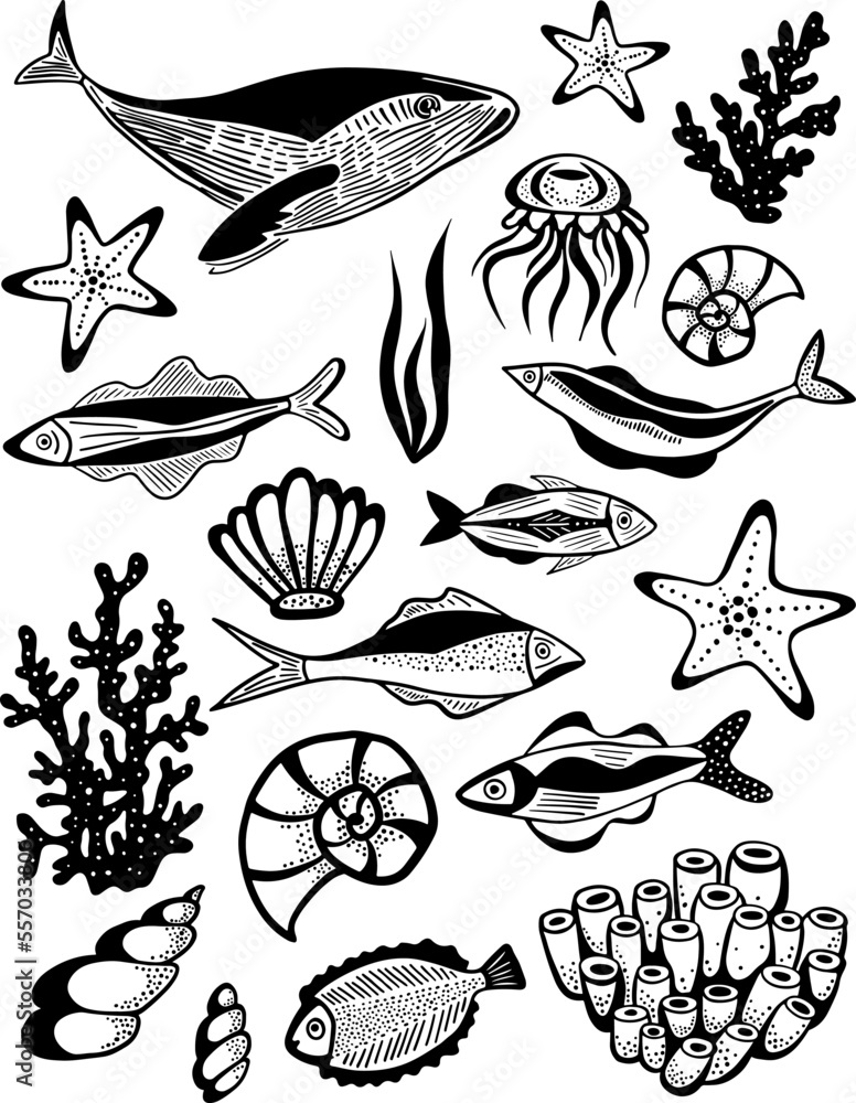 Hand drawn sketch vector set sea fish and other animals doolle style ...