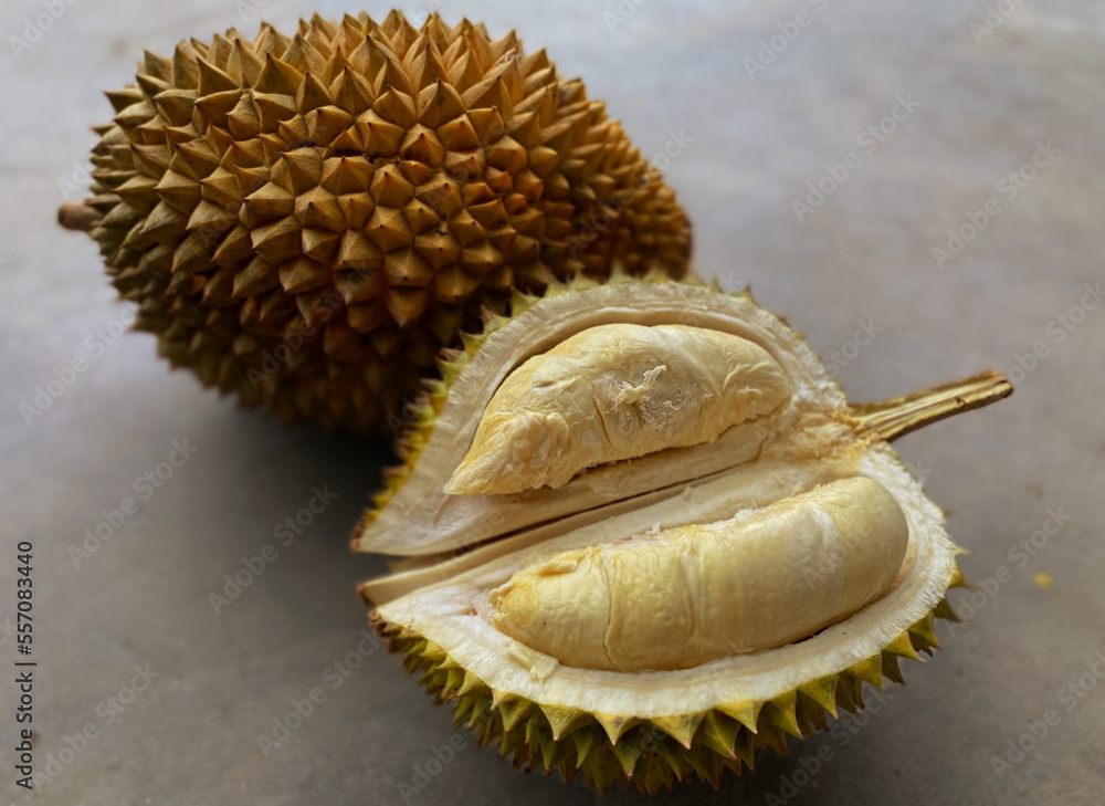 Fresh and ripe durian fruit. Durian (Durio) is a tropical plant ...
