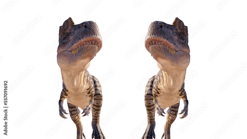 Albertosaurus PNG. Dinosaur Albertosaurus on a blank PNG high ...