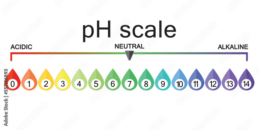 Ph scale. scale for chemical analysis acid-base balance infographic ...