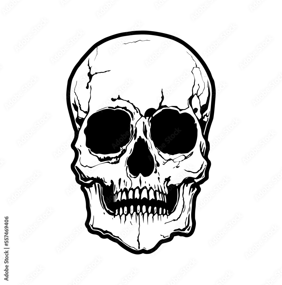 Vector black and white illustration of human skull with a lower jaw in ...