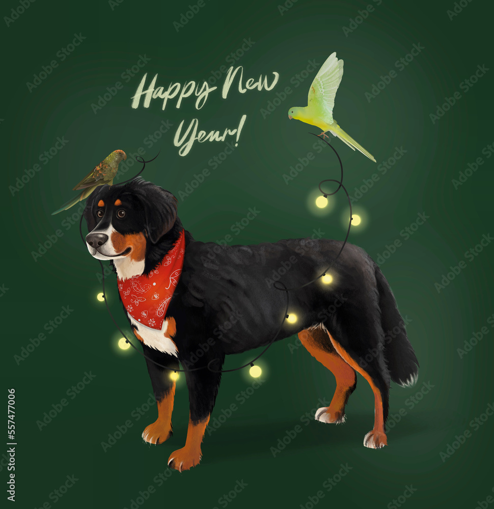Colorful New Years sketch of dog and parrots. Bernese Cattle Dog or ...