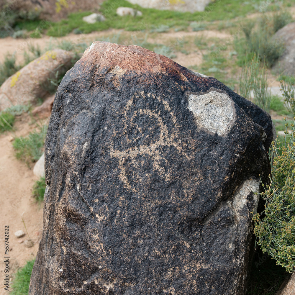 Petroglyph in Kyrgyzstan. An ancient rock carving and engraving known ...