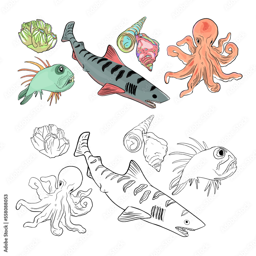 Graphic collection of marine life. Vector ocean creatures isolated on ...