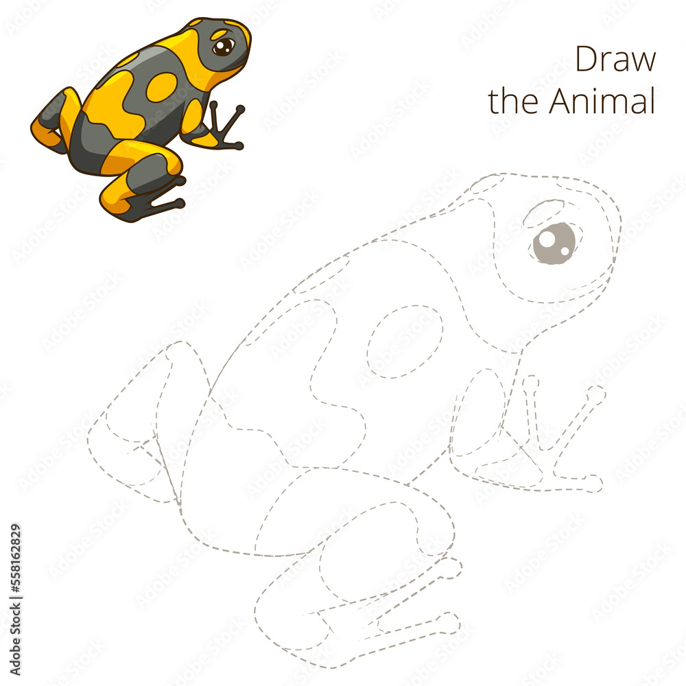 Draw the animal frog educational game PNG illustration with transparent ...