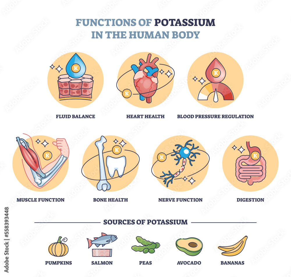 Functions of potassium in human body with sources in food outline ...