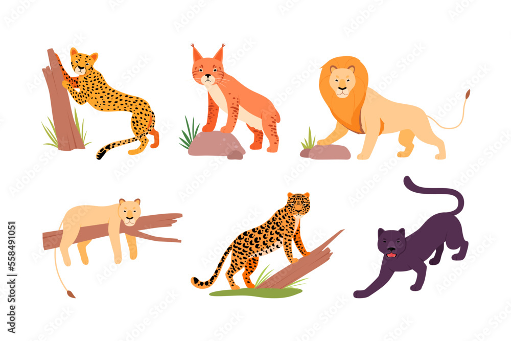 Set of different wild cats. Cheetah, lion, leopard, puma, panther ...