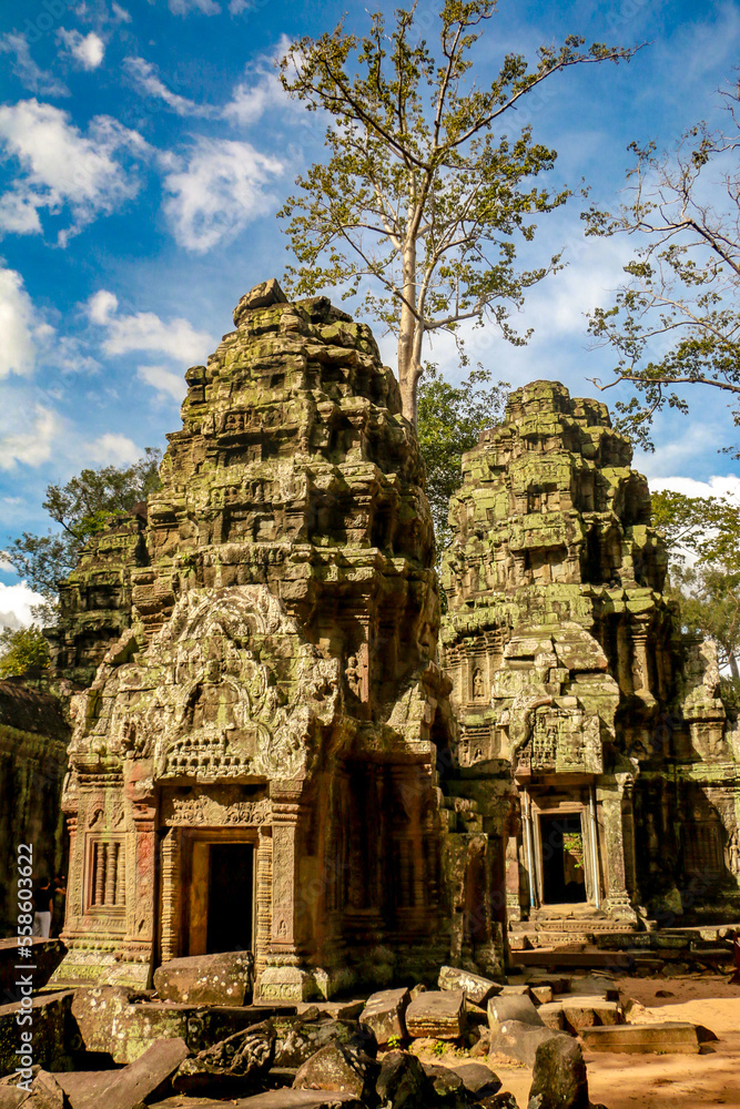 Amazing wallpaper of angkor wat with trees in cambodia. Angkor temple ...