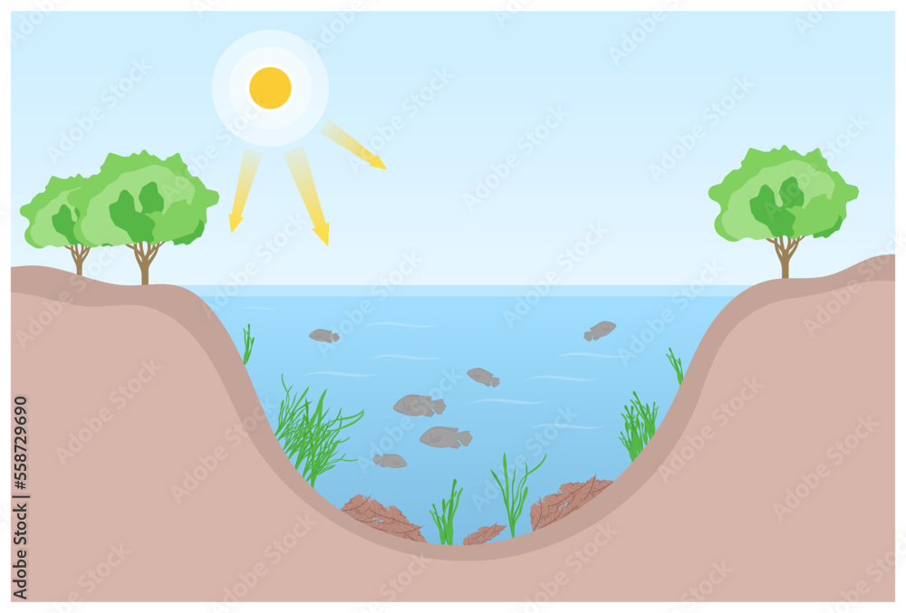 classification of degradation water quality algae productivity life ...