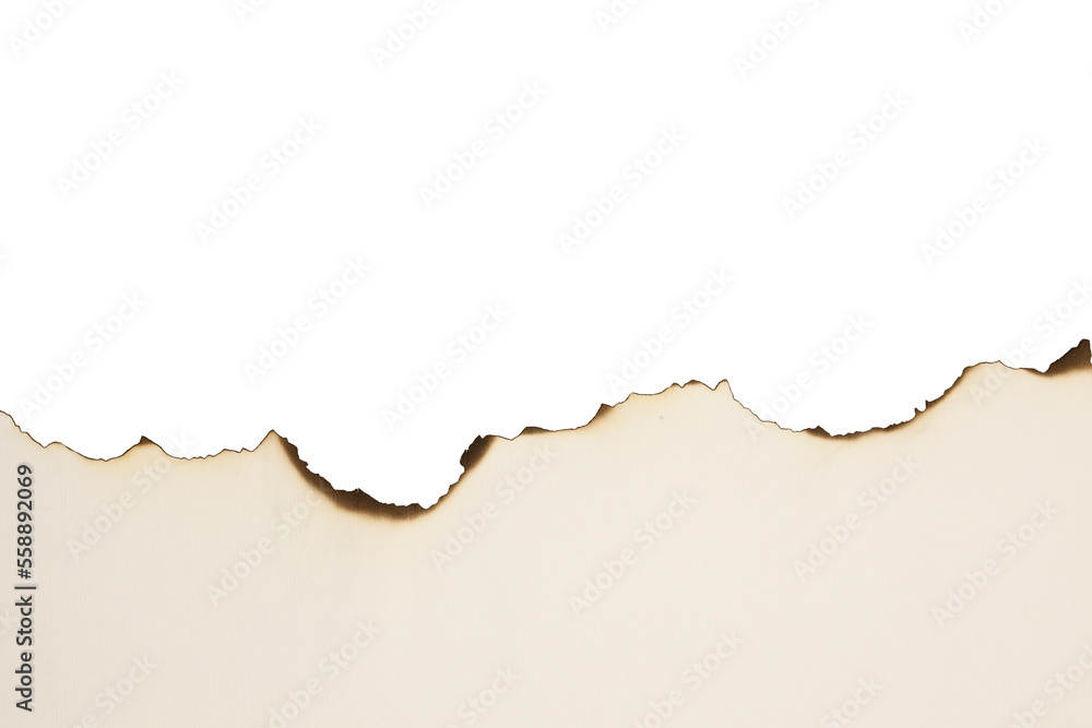 burn paper texture piece torn burned edge の Stock フォト | Adobe Stock
