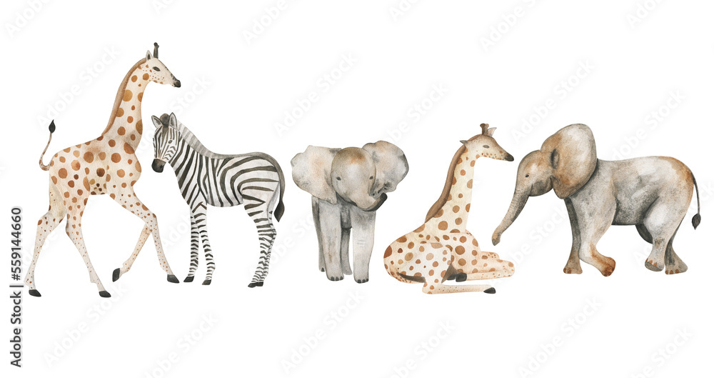 watercolor safari animals Stock Illustration | Adobe Stock