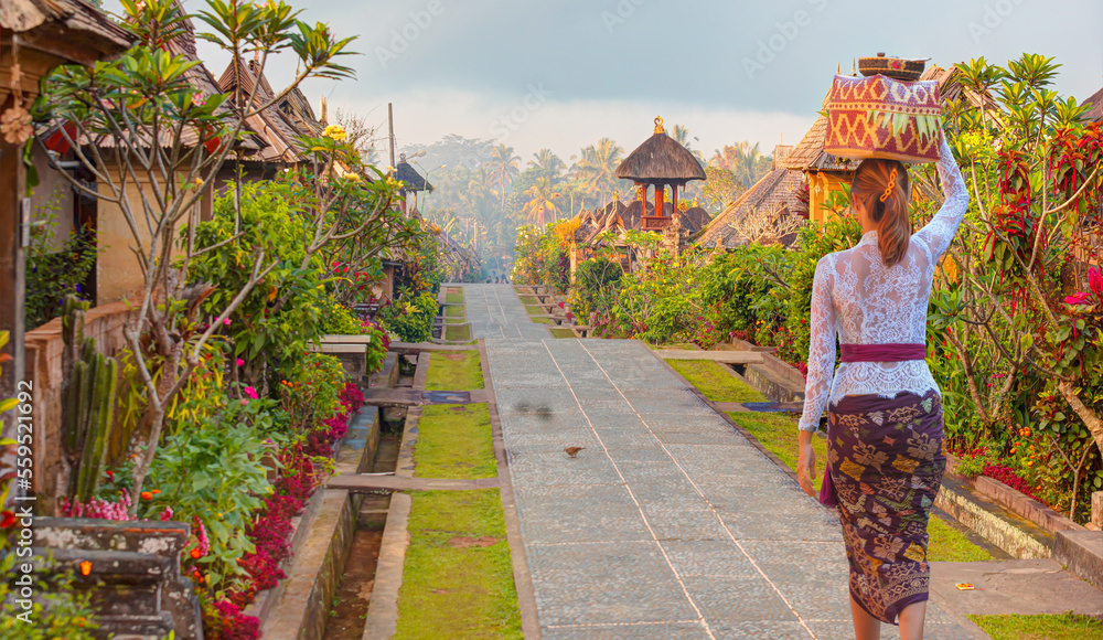 Beautiful balinese girl in traditional costume walking - Penglipuran is ...