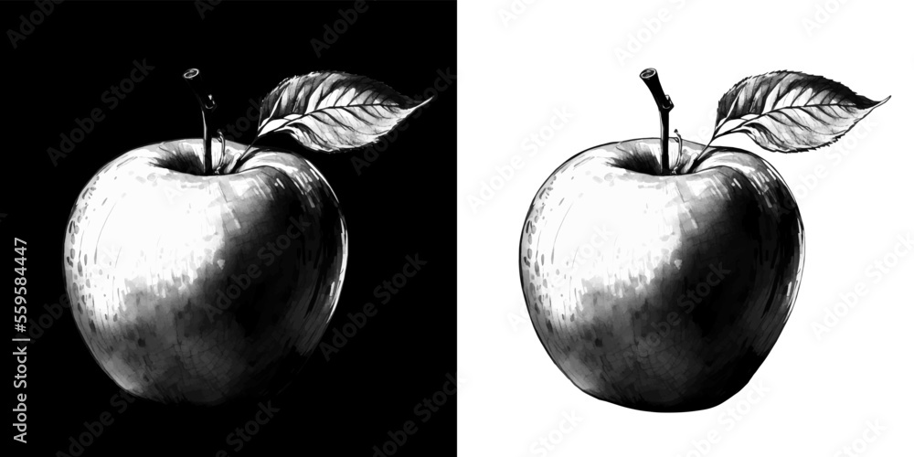 Apple Pencil Illustrations. Apple pencil sketch style on black and ...