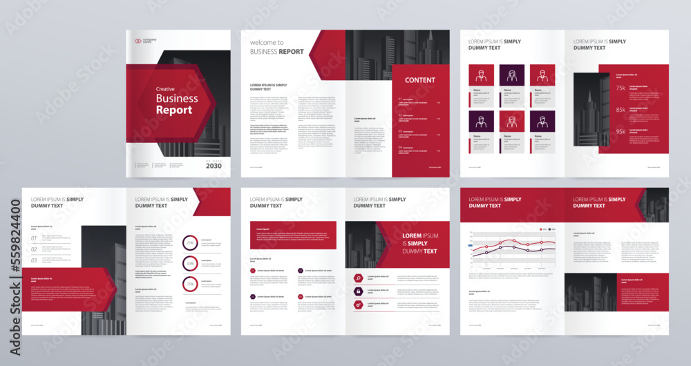 layout template for company profile ,annual report , brochures, flyers ...