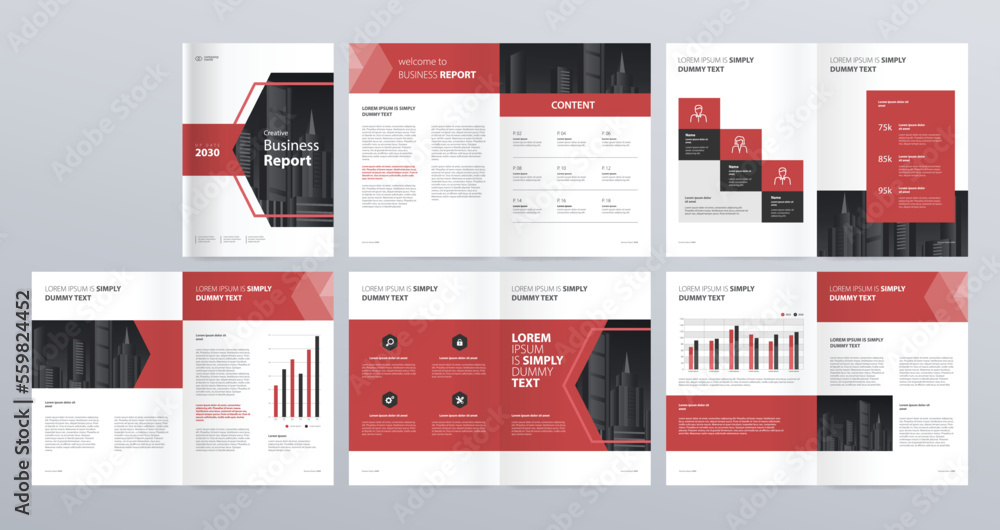 layout template for company profile ,annual report , brochures, flyers ...