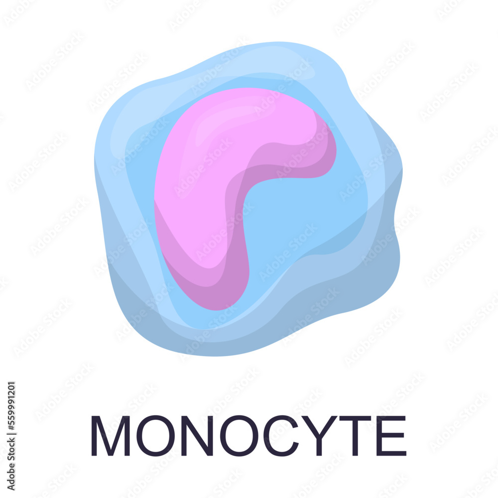 Blood cell vector illustration. Cartoon of leukocytes, neutrophil ...