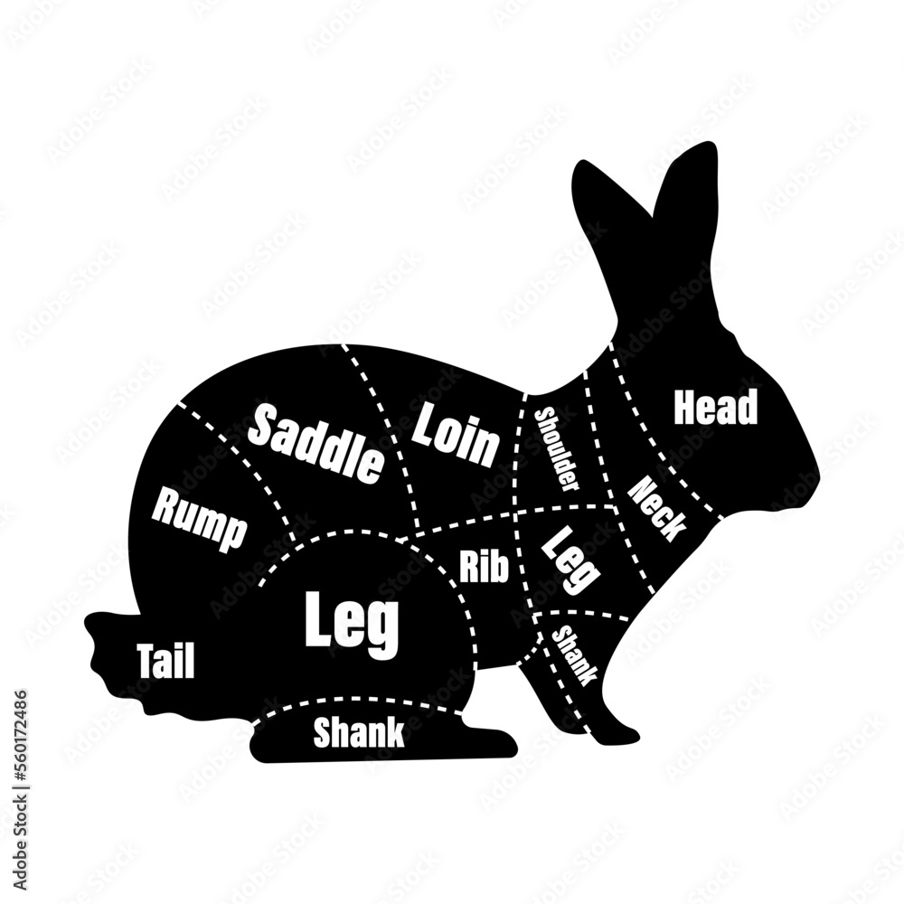 Rabbit meat.Butcher layout poster. Meat diagram layout drawing. Farm ...