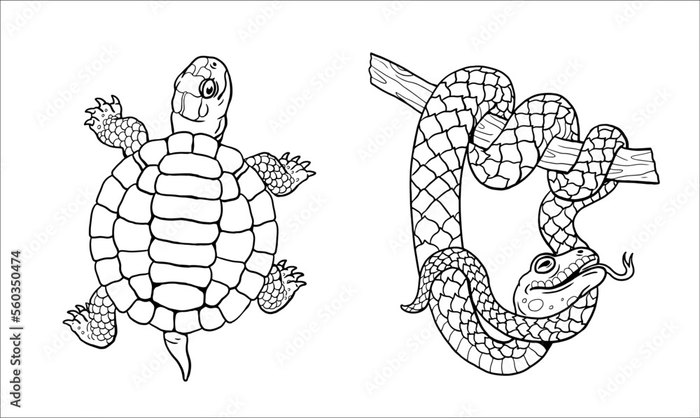 Cute turtle and snake coloring pages. Vector template for a coloring ...