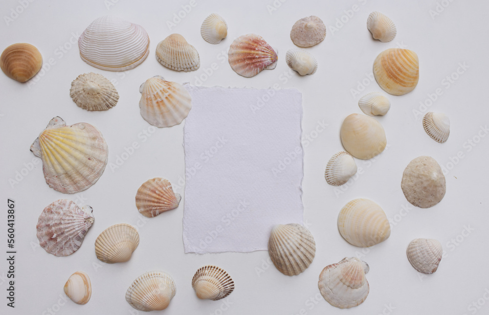Seashells of various shapes and types and blank greeting card mockup on ...