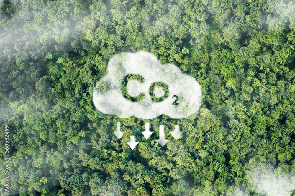 CO2 white fog, Concept depicting the issue of carbon dioxide emissions ...