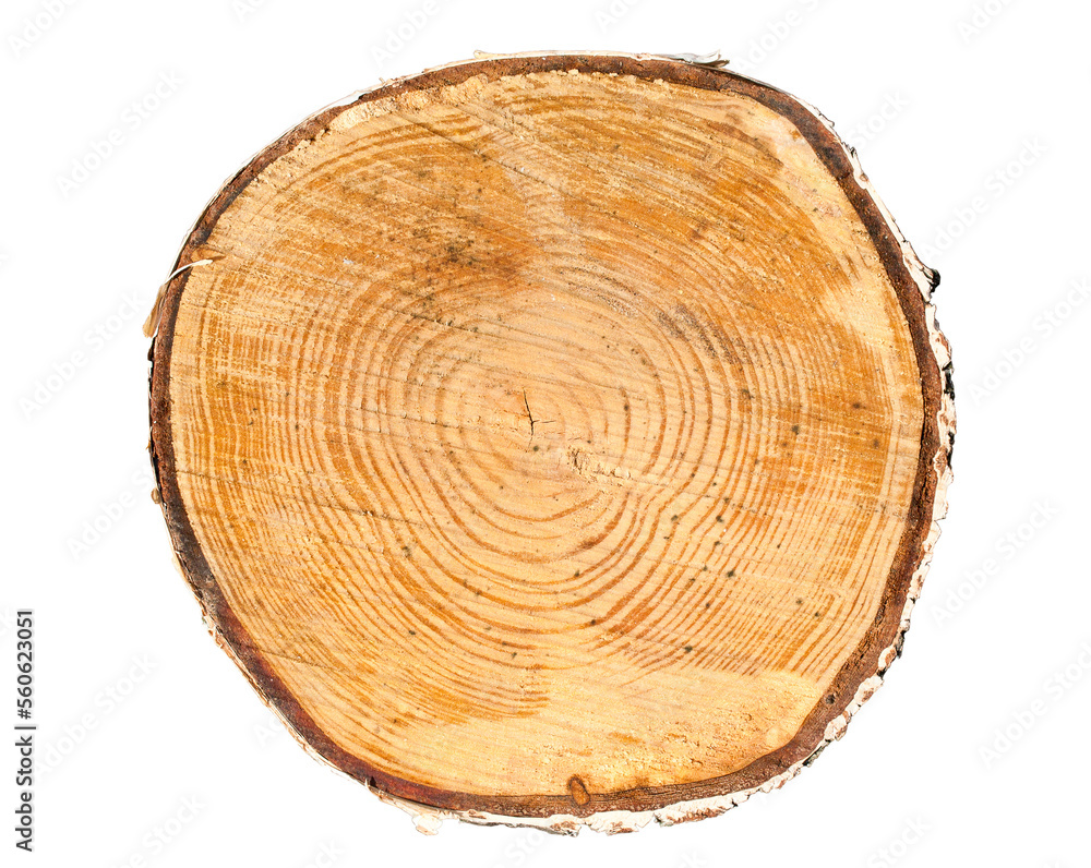 Tree trunk rings cut isolated close up cartoon illustration set, black ...