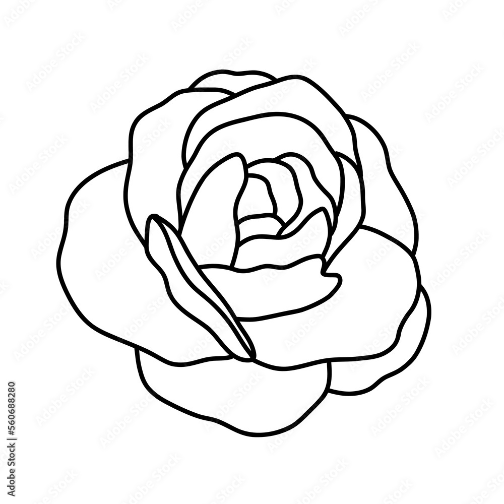 Hand drawn rose. Line art. Flower with contour. Simple doodle drawing ...