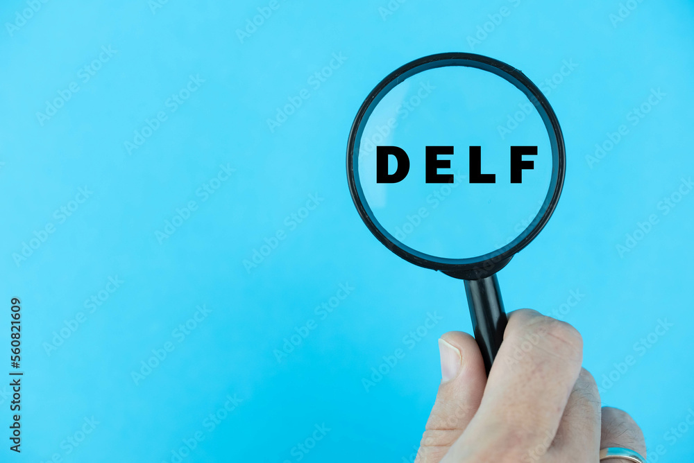 Focused on DELF exam. Word DELF (Diplôme d’études en langue française ...