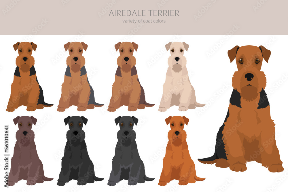 Airedale terrier all colours clipart. Different coat colors set Stock ...