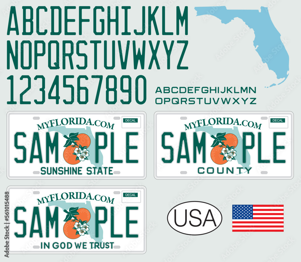 Florida License car plate pattern design, with numbers, letters and ...
