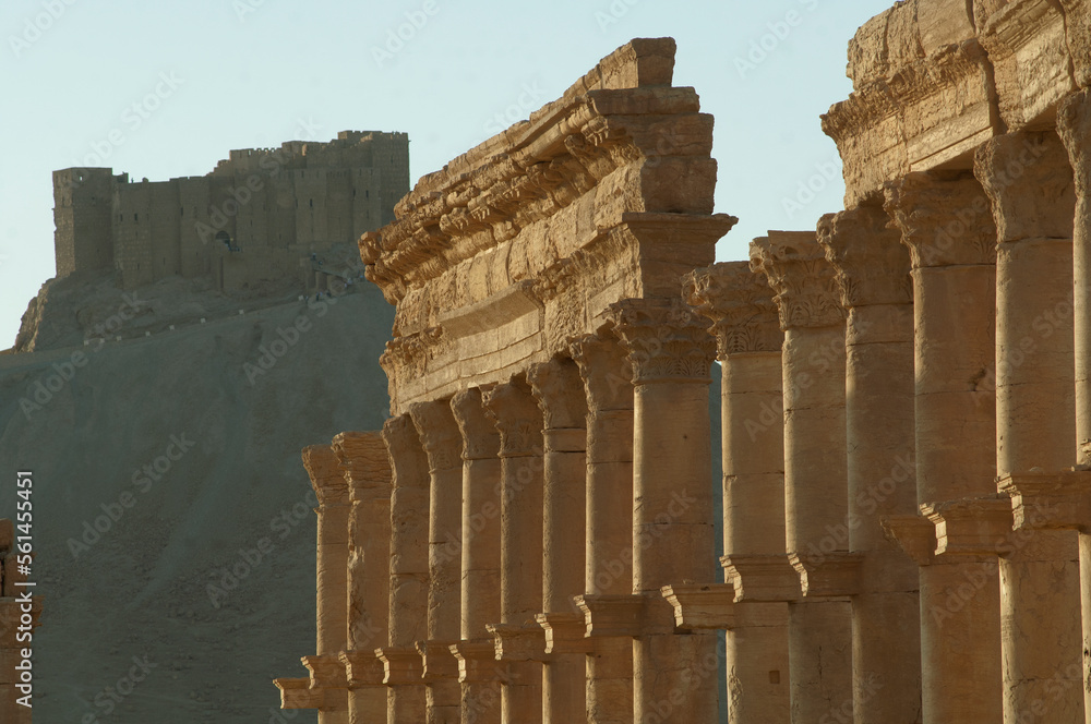 Fakhr-al-Din al-Ma'ani Castle overlooking the Roman columns of Palmyra ...