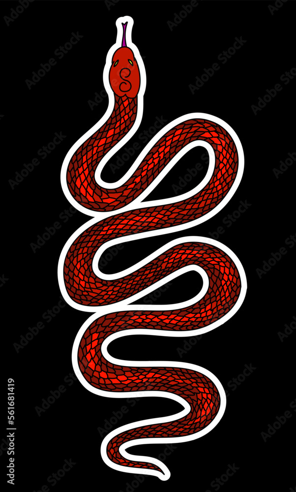 red snake vector.Lampropeltis triangulum vector.Sticker and hand drawn ...