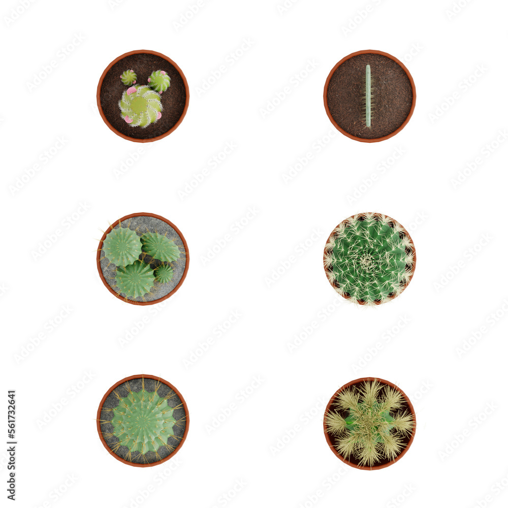 top down view SET OF cactus in a orange pot isolated on white, 3d ...