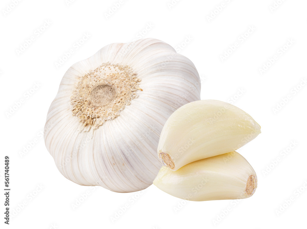 garlic on transparent png Stock Photo | Adobe Stock