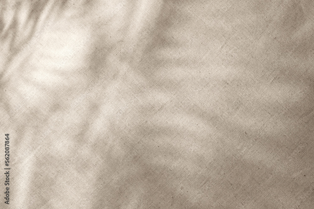 Floral sunlight shadows on a neutral beige cloth, aesthetic minimalist ...