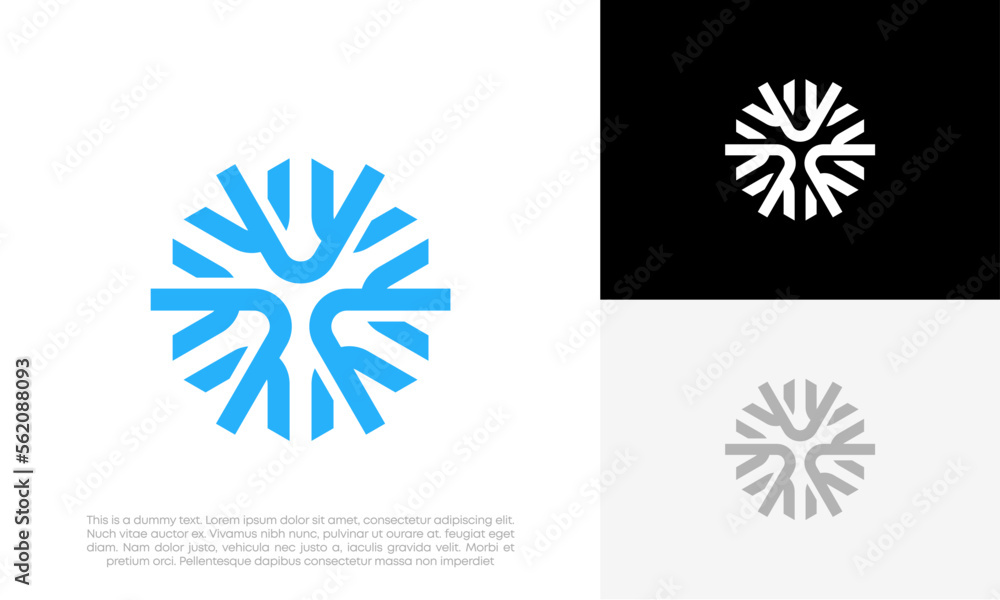 snowflakes logo design vector Stock Vector | Adobe Stock