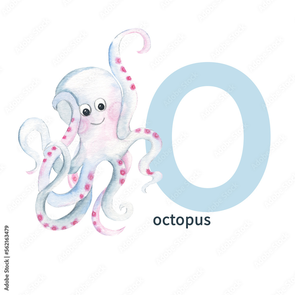 Letter O, octopus, cute kids animal ABC alphabet. Watercolor ...