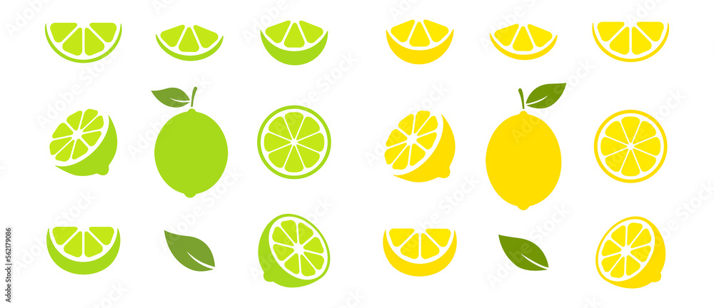 Lime and lemon slices set. Citrus fruits collection. Vector ...