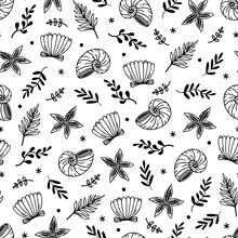 Scallops Wallpaper Background Free Stock Photo - Public Domain Pictures