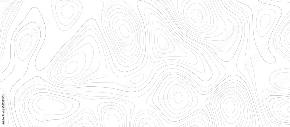 Black on white contours vector topography stylized height of the lines ...