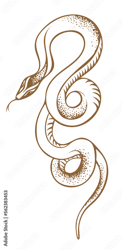 vector illustration of a snake, icon, sketch of an artistic tattoo ...