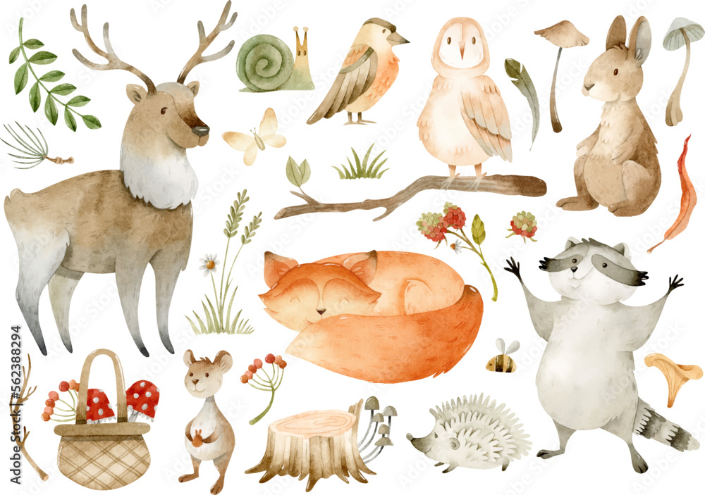 Watercolor forest animals and nature elements isolated clipart set ...