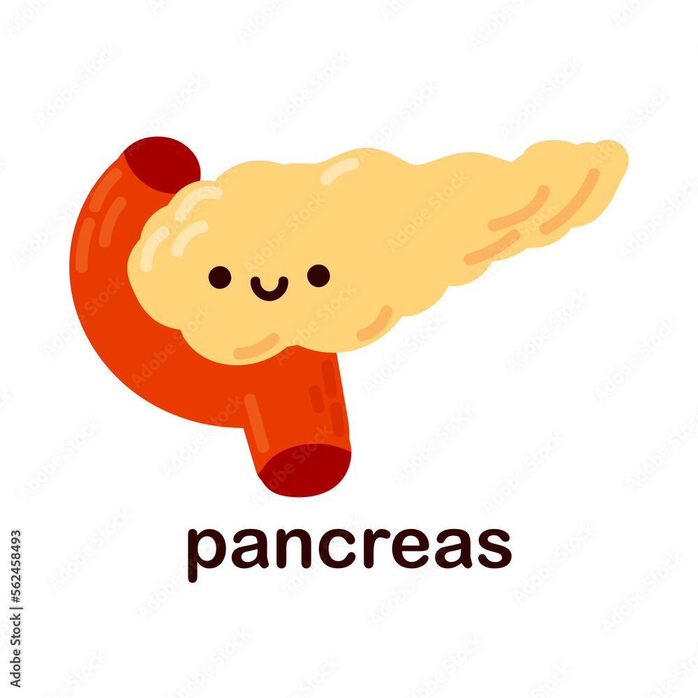 Векторный объект Kawaii pancreas. Cute kawaii human internal organs ...