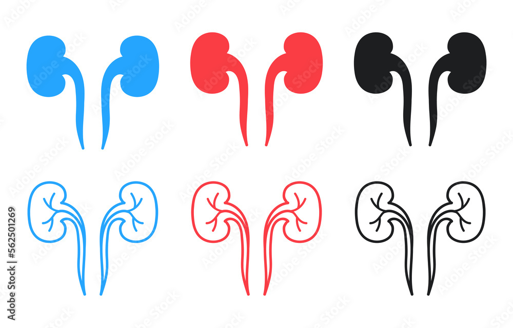 Human kidneys icon set. Colorful and monochrome sign. Fill and outline ...
