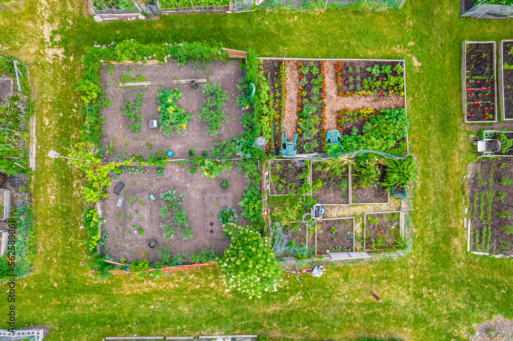 Urban gardening and farming aerial view. Urban oases in summer day ...