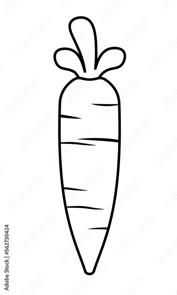 Black Line Carrot Vegetable Coloring Page Vector Illustration Image on ...